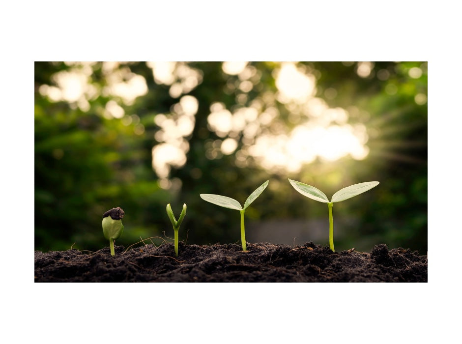 Eco-Friendly Candles is Best! – Repose. Candle Co.