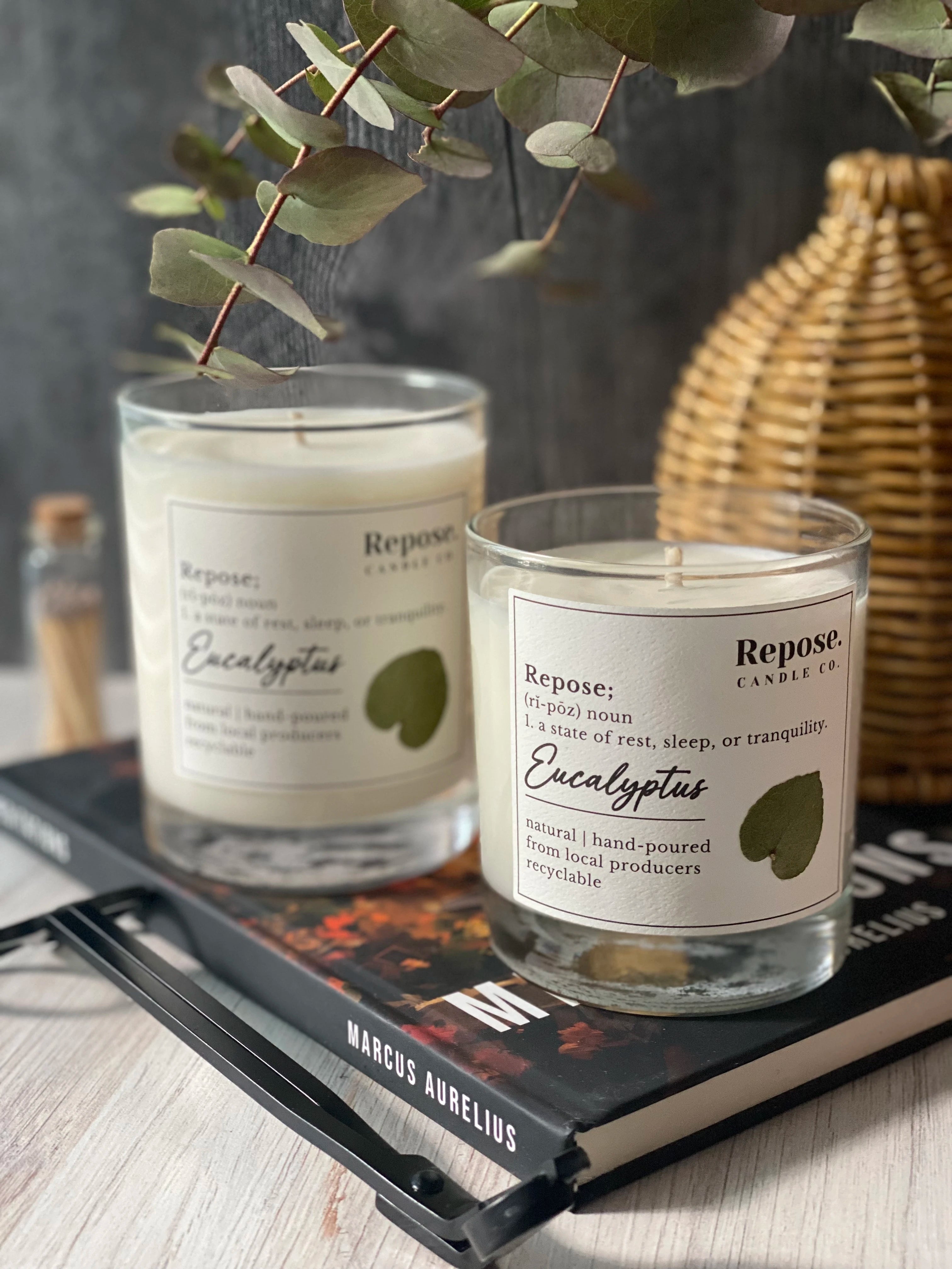 Eucalyptus Candle | Invigorate – Repose. Candle Co.